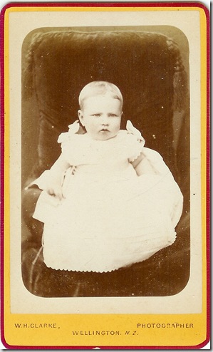 Strangers in a Box: More on the Maxton Family of Wairarapa, NZ